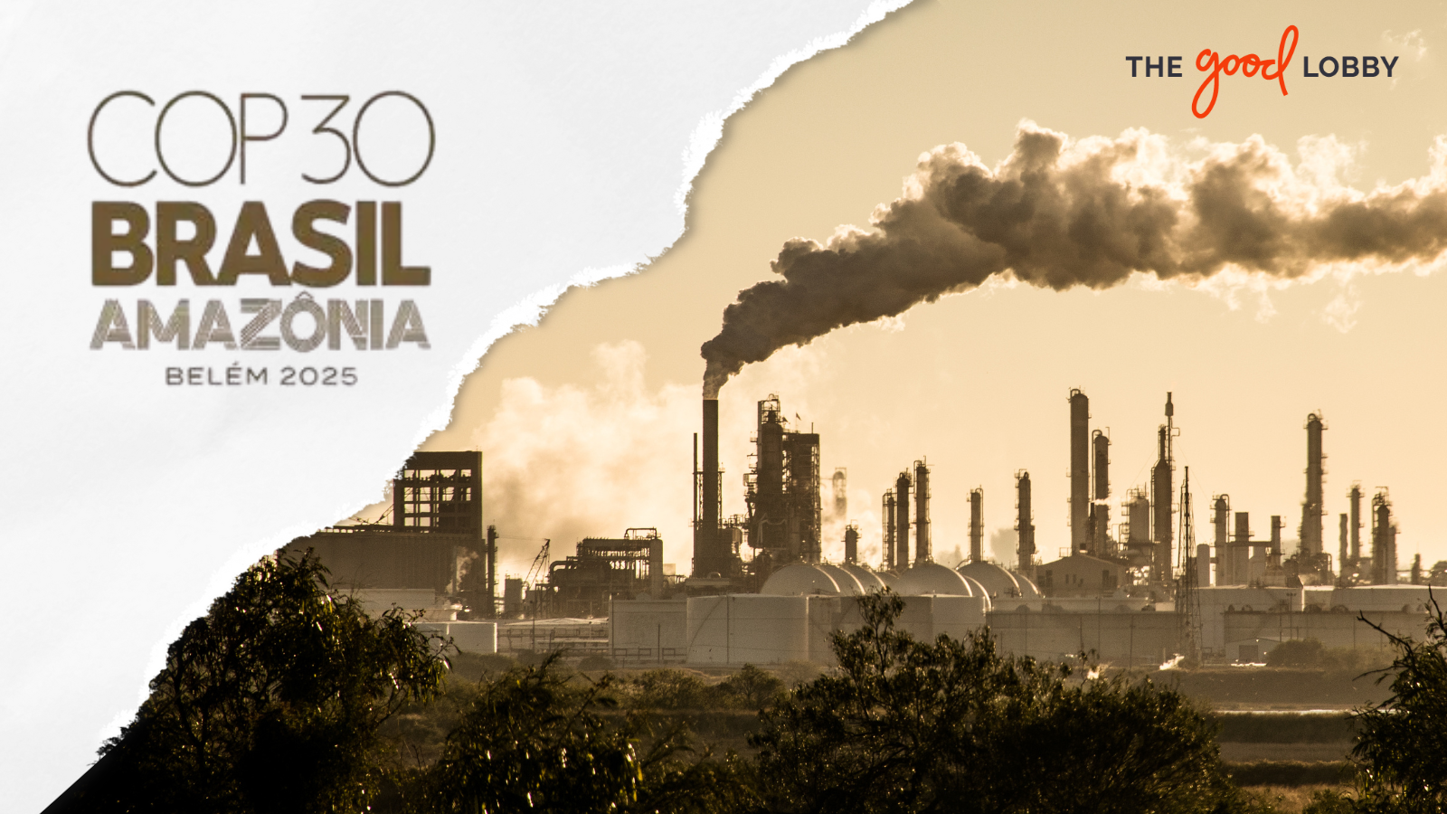 Record High Number Of Fossil Fuel Lobbyists At Cop30 The Good Lobby